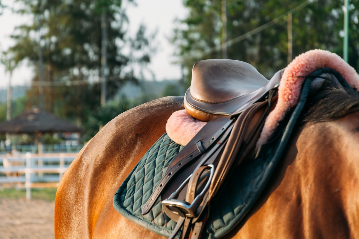 Master Horse